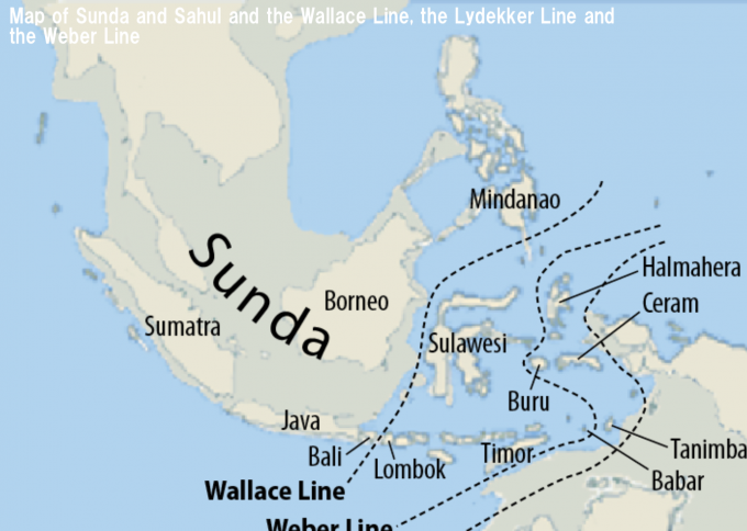 スンダランド ( Sunda Land )